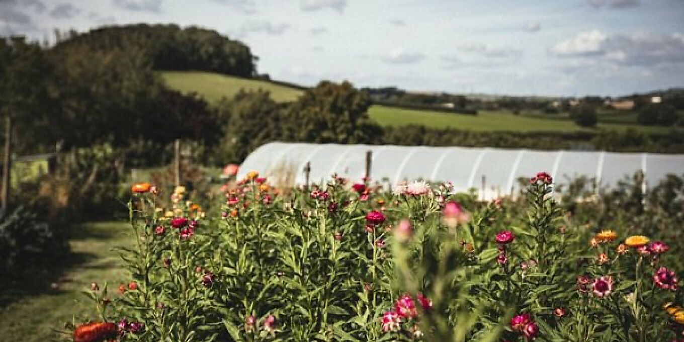 Review of Riverford Field Kitchen, Buckfastleigh, Devon | The Good Food Guide